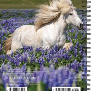 Willow Creek Press What Horses Teach Us Softcover Weekly Planner 2024 Spiral-Bound Engagement Calendar (6.5" x 8.5")