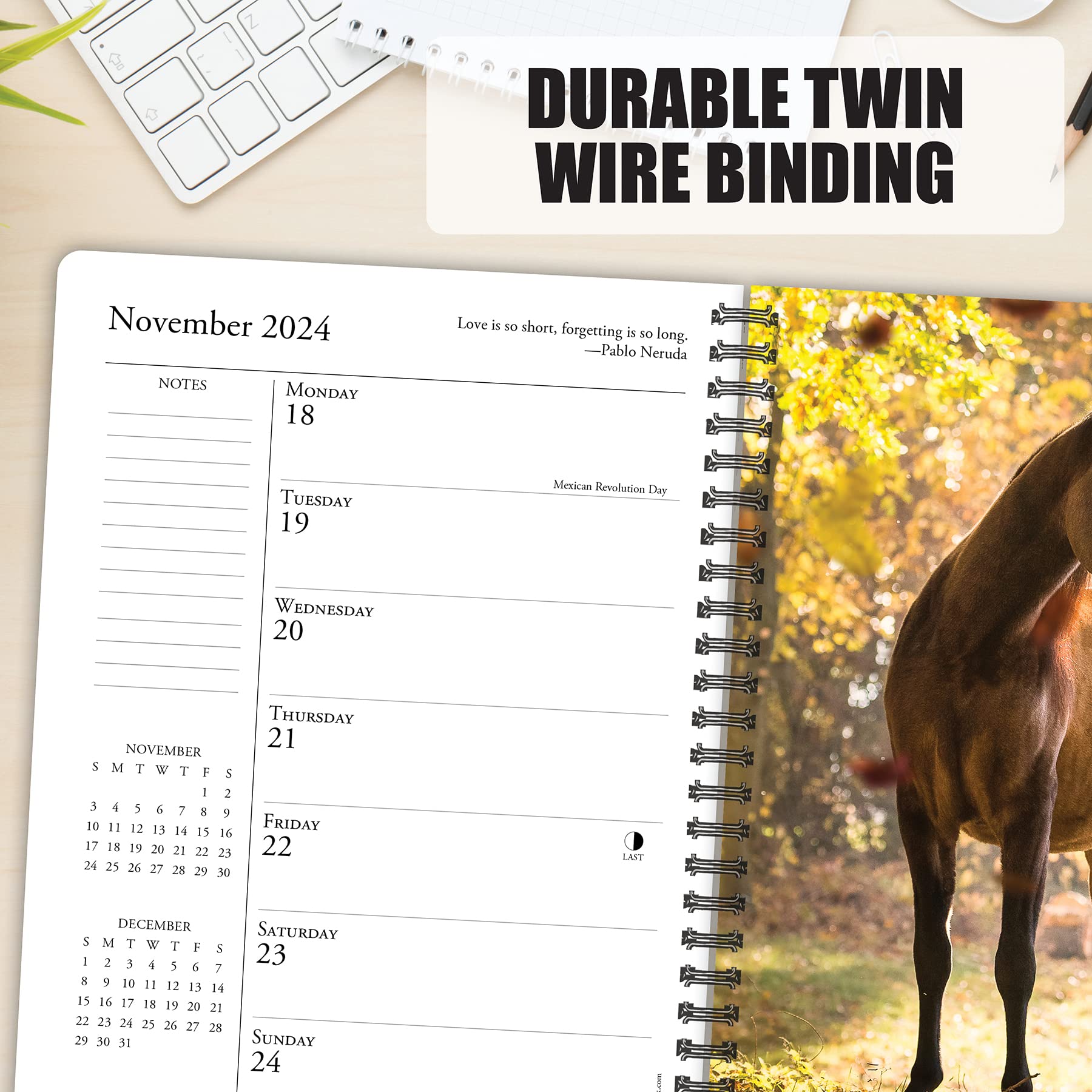 Willow Creek Press What Horses Teach Us Softcover Weekly Planner 2024 Spiral-Bound Engagement Calendar (6.5" x 8.5")