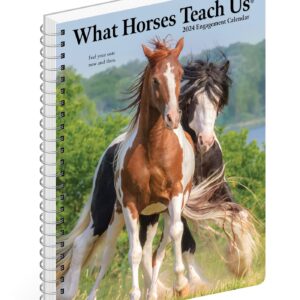 Willow Creek Press What Horses Teach Us Softcover Weekly Planner 2024 Spiral-Bound Engagement Calendar (6.5" x 8.5")