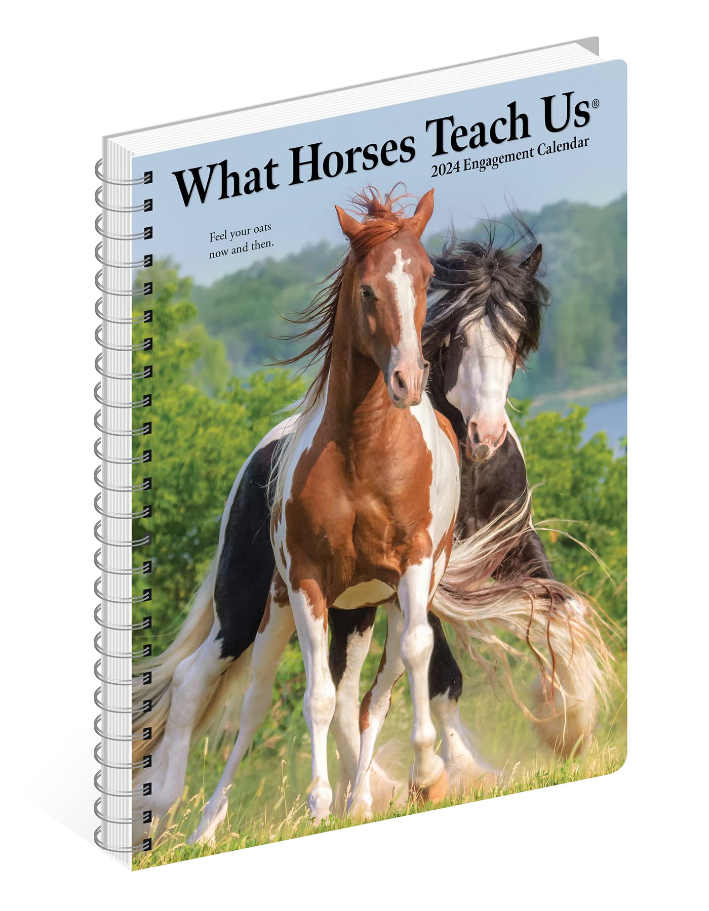 Willow Creek Press What Horses Teach Us Softcover Weekly Planner 2024 Spiral-Bound Engagement Calendar (6.5" x 8.5")