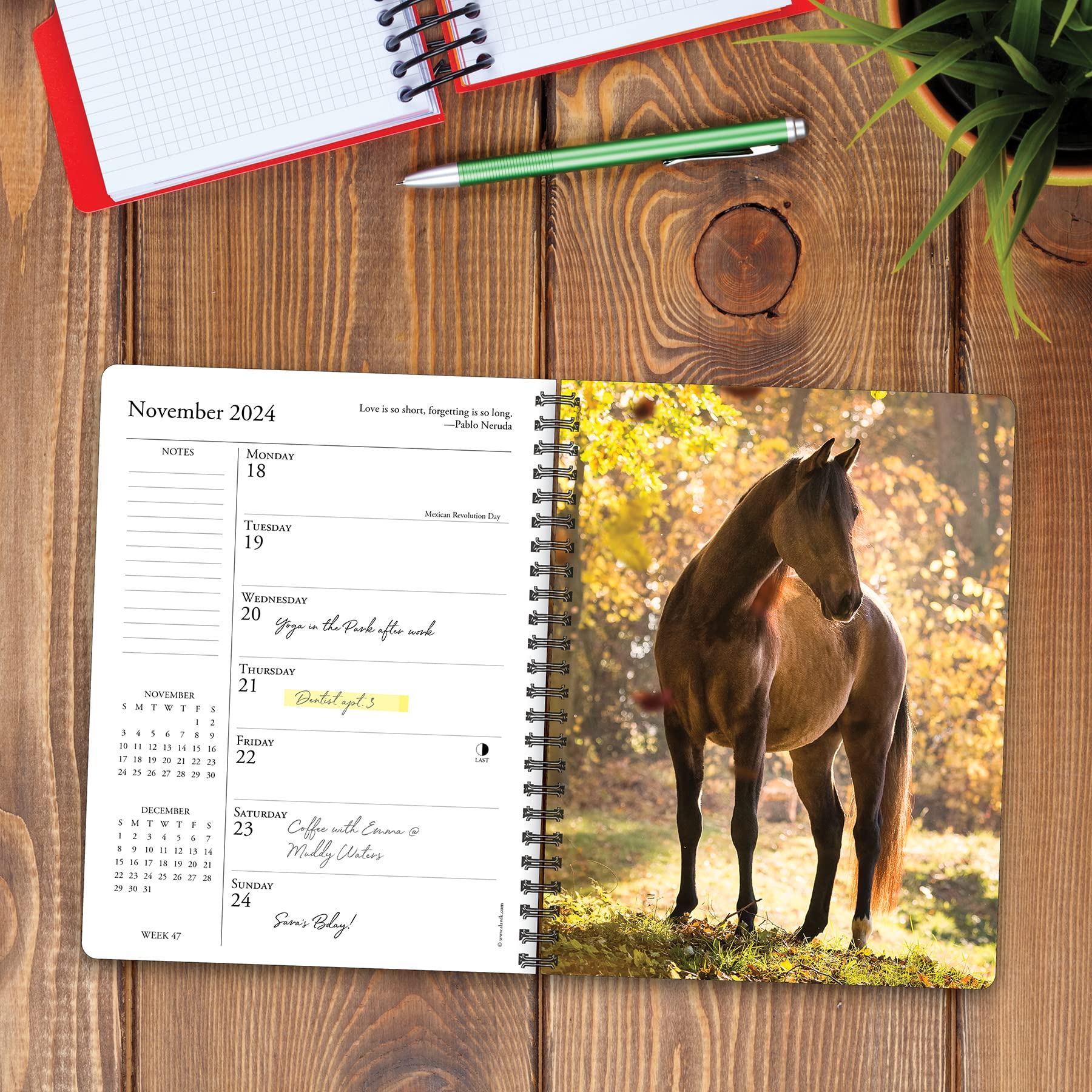 Willow Creek Press What Horses Teach Us Softcover Weekly Planner 2024 Spiral-Bound Engagement Calendar (6.5" x 8.5")