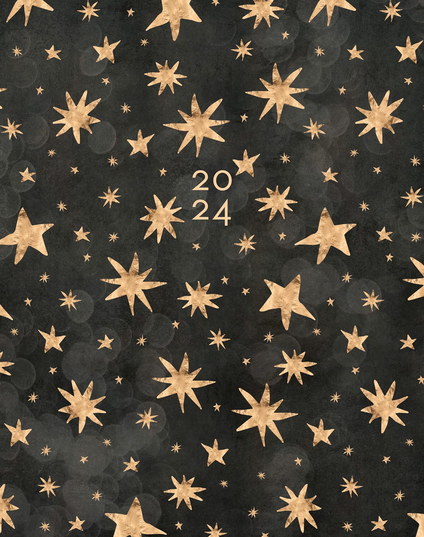 Willow Creek Press Starry Night 2024 Booklet Softcover Monthly Planner (7.5" x 9.5")