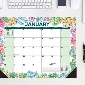 Willow Creek Press Succulent Monthly 2024 Deskpad Calendar (22" x 17")