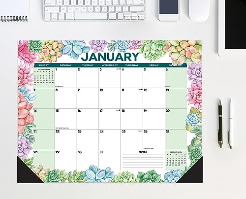 Willow Creek Press Succulent Monthly 2024 Deskpad Calendar (22" x 17")