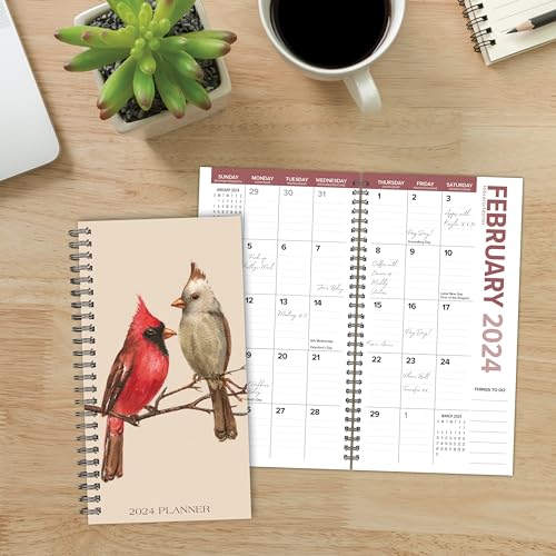 Willow Creek Press, Cardinals Weekly 2024 Pocket Planner Exclusive