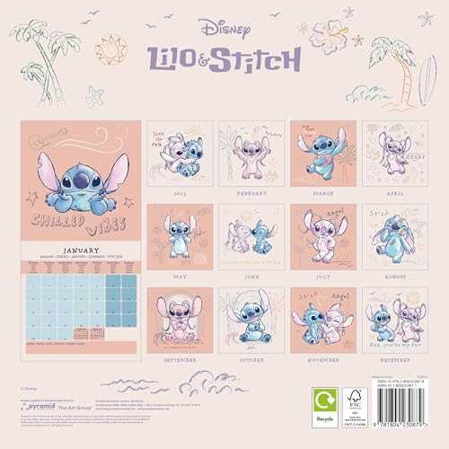 Lilo and Stitch Calendar 2024 - Month to a View Planner 30cm x 30cm - Official Merchandise