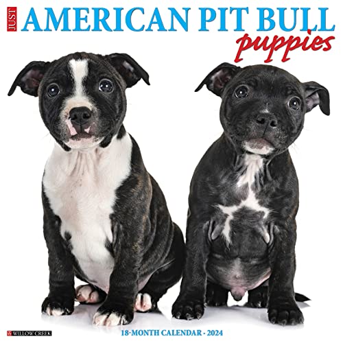 Just American Pit Bull Terrier Puppies 2024 Calendar