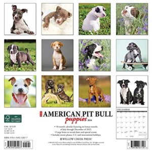 Just American Pit Bull Terrier Puppies 2024 Calendar