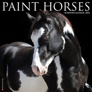 willow creek press paint horses monthly 2024 wall calendar (12" x 12")