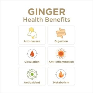 GIN GINS Original Ginger Chews by The Ginger People – Anti-Nausea and Digestion Aid, Individually Wrapped Healthy Candy – Original Flavor, 3 Oz Bag (Pack of 1)