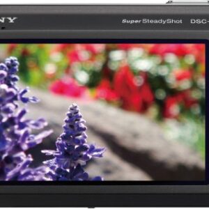 Sony Cybershot DSC-T70 8.1MP Digital Camera with 3x Optical Zoom with Super Steady Shot Image Stabilization (Black)