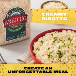 RiceSelect Arborio Rice for Italian Risotto, Premium Gluten-Free Rice, Non-GMO, 32-Ounce Jar, (Pack of 1)