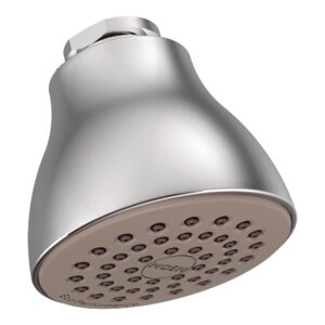 moen chrome one-function showerhead, 6300