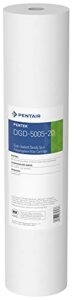 pentair pentek dgd-5005-20 big blue water filter, 20-inch whole house sediment filter cartridge replacement, dual-gradient density spun polypropylene, 20" x 4.5", 5 micron, pack of 1, white