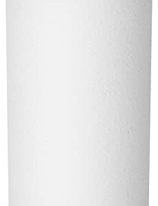 Pentair Pentek RFC-BB Big Blue Carbon Water Filter, 10-Inch, Whole House Heavy Duty Radial Flow Carbon Replacement Cartridge with Granular Activated Carbon (GAC) Filter, 10" x 4.5", 25 Micron