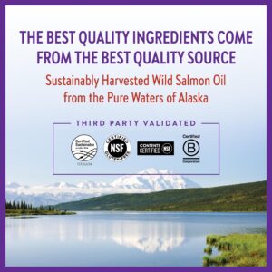 New Chapter Wholemega Fish Oil Supplement - Wild Alaskan Salmon Oil with Omega-3 + Vitamin D3 + Astaxanthin + Sustainably Caught - 120 ct, 1000mg Softgels