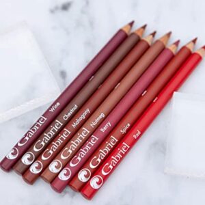 Zuzu Luxe Lip Pencil (Innocence- Nude Pink/Neutral), Lipliner Infused with Jojoba Seed Oil,Aloe for ultra hydrated lips. Natural, Paraben Free, Vegan, Gluten-free,Cruelty-free, Non GMO,0.04 oz.