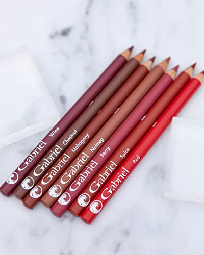 Zuzu Luxe Lip Pencil (Innocence- Nude Pink/Neutral), Lipliner Infused with Jojoba Seed Oil,Aloe for ultra hydrated lips. Natural, Paraben Free, Vegan, Gluten-free,Cruelty-free, Non GMO,0.04 oz.