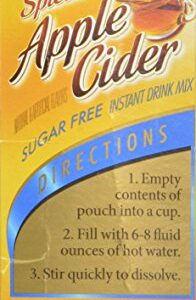 Alpine Spiced Apple Cider Sugar Free- 10 Count (Pack of 1)