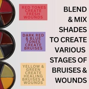 Mehron Makeup ProColoRing Bruise 5 Color Wheel for Special Effects & Movies | Bruise Makeup Kit | SFX Paint | Halloween Special Effects Makeup