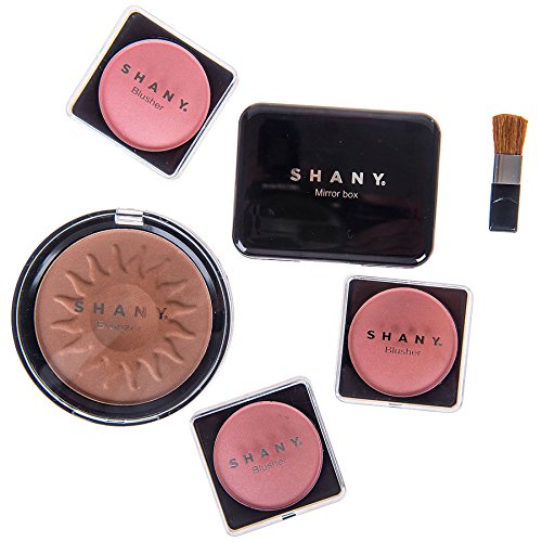 SHANY Carry All Trunk Makeup Set (Eye shadow palette/Blushes/Powder/Nail Polish and more)