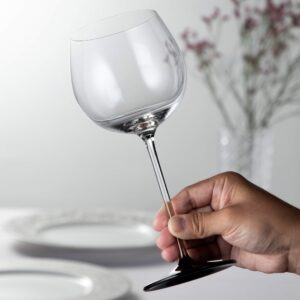 Riedel Sommeliers Black Tie Montrachet Glass