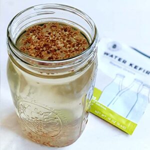 Cultures for Health Water Kefir Grains | DIY Fermented Probiotic Drink Powder for Stronger Gut Health | Heirloom Starter Makes Limitless Supply | Non-GMO Dairy Free Vegan Sparkling Water with Enzymes