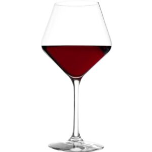 Stolzle Revolution Burgundy Wine Glasses, 19 oz (Set of 6)