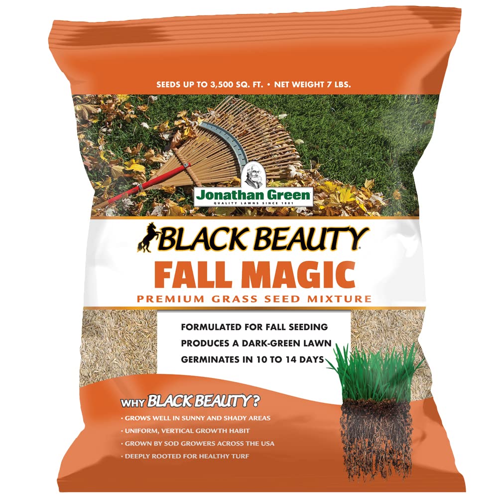 Jonathan Green (10768) Black Beauty Fall Magic Grass Seed - Cool Season Lawn Seed (7 lb)