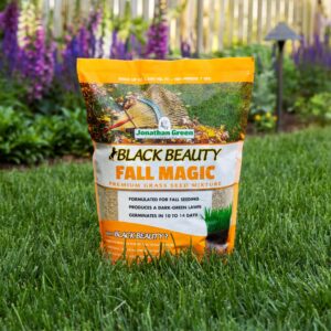 Jonathan Green (10768) Black Beauty Fall Magic Grass Seed - Cool Season Lawn Seed (7 lb)