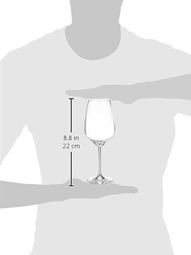 Schott Zwiesel 115670 Wine Glass, Clear, 12.8 fl oz (356 ml), TASTE White Wine, Pack of 6