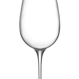 Luigi Bormioli Palace 11 oz White Wine Glasses (Set Of 6), Clear