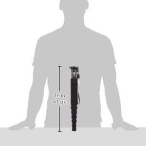 SIRUI P-306 Professional Lightweight 6-Section Aluminum monopod