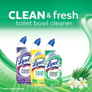 Lysol Toilet Bowl Cleaner Gel, For Cleaning and Disinfecting, Stain Removal, Forest Rain Scent, 24oz (Pack of 2)