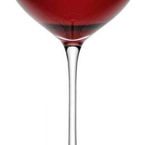 LSA WI05 Wine Red Wine Glass 25.2 fl oz/H10.25in Clear x 4