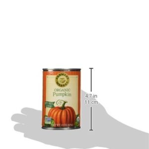 Includes Farmers Market Pumpkin Puree 100% Organic 15oz (Pack of 3)