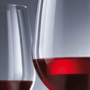 Schott Zwiesel Stemware Fortissimo Collection Tritan Crystal Burgundy, Red Wine Glass, 24.6-Ounce, Set of 6