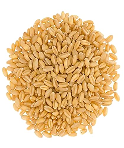 Soft White Wheat Berries | 5 LBS | Family Farmed in Washington State | 100% Desiccant Free | Non-GMO Project Verified | 100% Non-Irradiated | Kosher | Field Traced | Burlap Bag