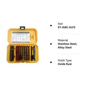 Chapman MFG 5575 Master Screwdriver Set - Includes Phillips, Metric, Slotted, SAE & Metric Hex Bits, Star Bits (for Torx Screws) - Complete Set Offers 51 USA Made Insert Bits & 300+ Combinations