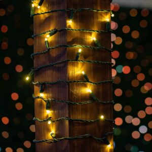 Novelty Lights 100 Light LED Christmas Mini Light Set, Outdoor Lighting Party Patio String Lights, Warm White, Green Wire, 50 Feet