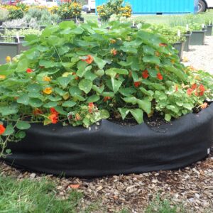 Smart Pot 100511247 Big Bag Fabric Raised Bed, Original, Black