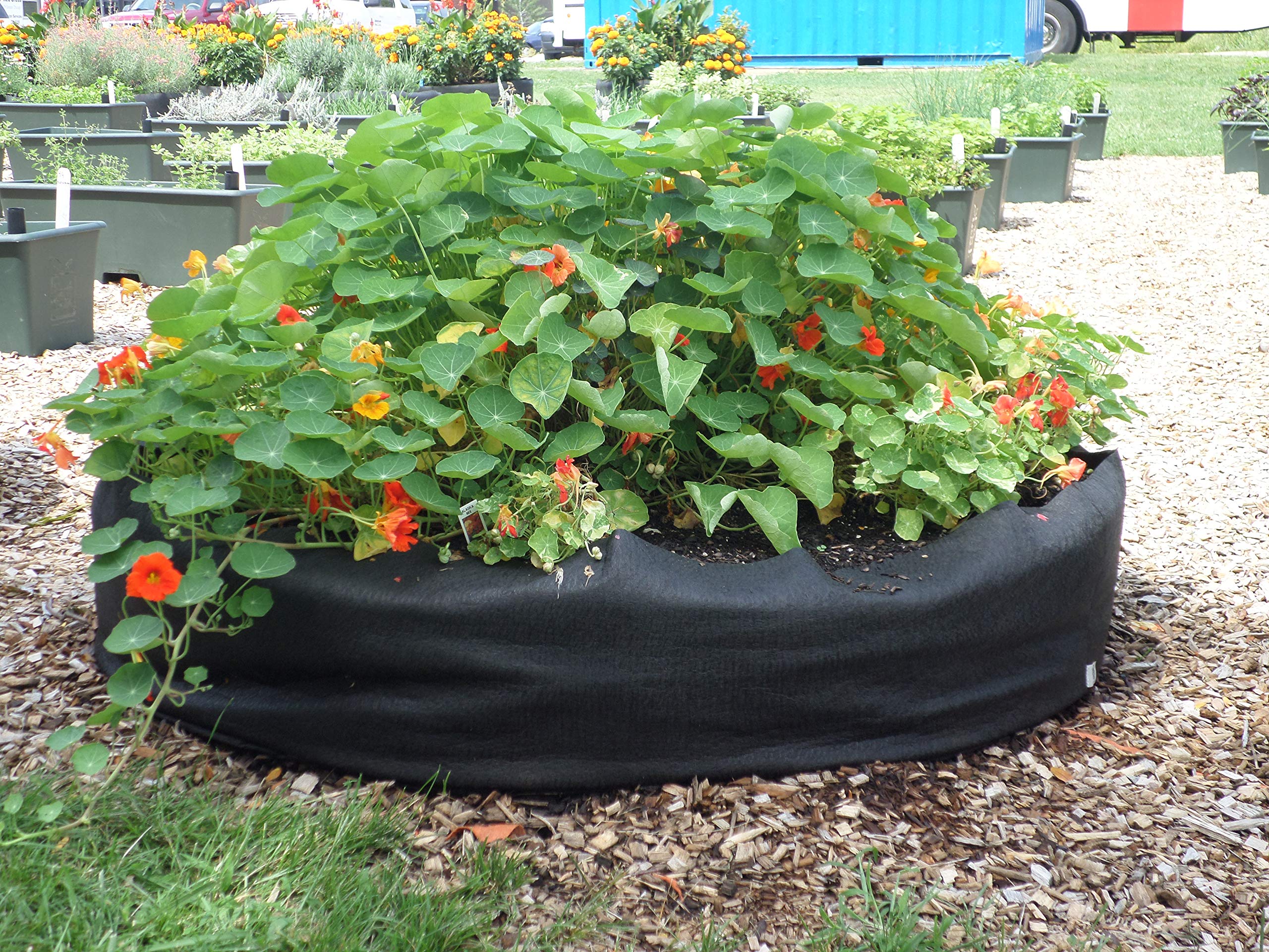 Smart Pot 100511247 Big Bag Fabric Raised Bed, Original, Black