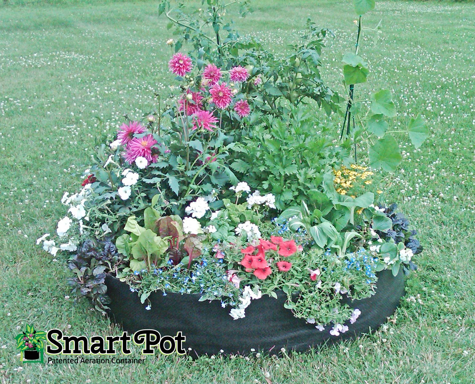 Smart Pot 100511247 Big Bag Fabric Raised Bed, Original, Black