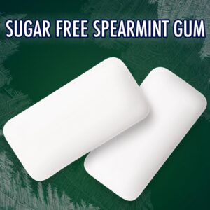 ECLIPSE Spearmint Sugarfree Chewing Gum, 180 piece bag