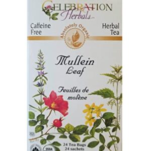 CELEBRATION HERBALS Mullein Leaf Organic 24 Bag, 0.02 Pound