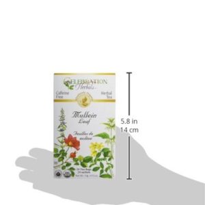 CELEBRATION HERBALS Mullein Leaf Organic 24 Bag, 0.02 Pound