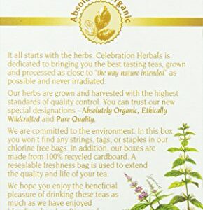 CELEBRATION HERBALS Mullein Leaf Organic 24 Bag, 0.02 Pound