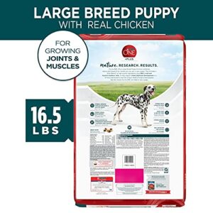 Purina ONE Plus Large Breed Puppy Food Dry Formula - 16.5 lb. Bag