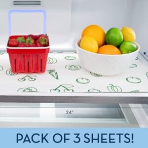 Envision Home Refrigerator Liners, Shelf Liner, Absorbent Fridge Liners, 12 Inch x 24 Inch, Veggie Print, 3 Pack