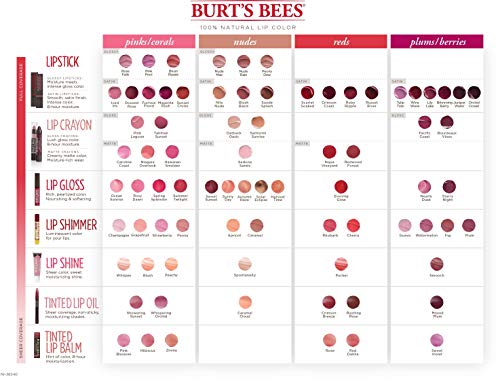 Burt'sBurt's Bees 100% Natural Moisturizing Lip Gloss, Autumn Haze - 1 Tube with Wand Applicator